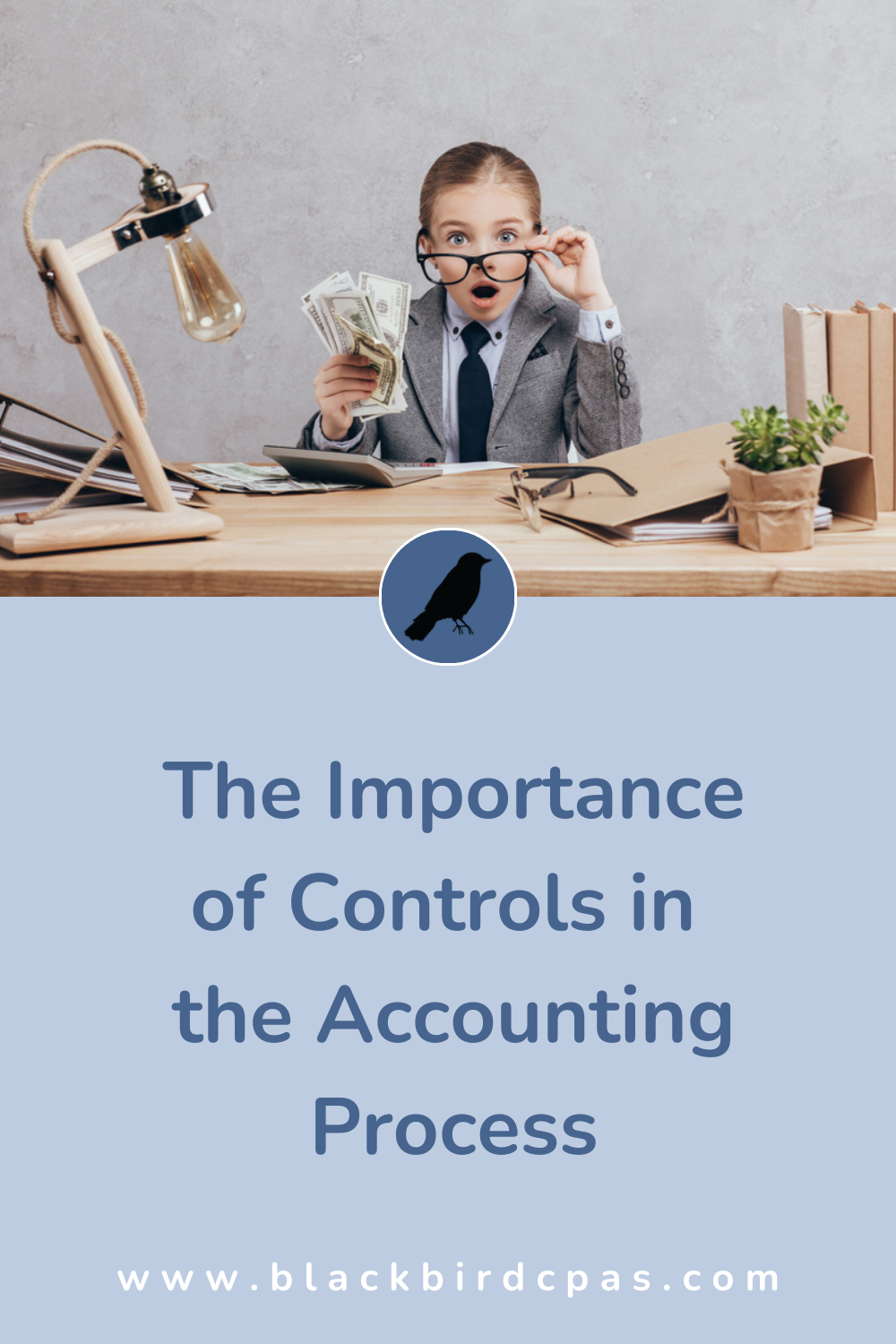 blog — Blackbird Accounting PLLC - Navigating the Numbers with Integrity