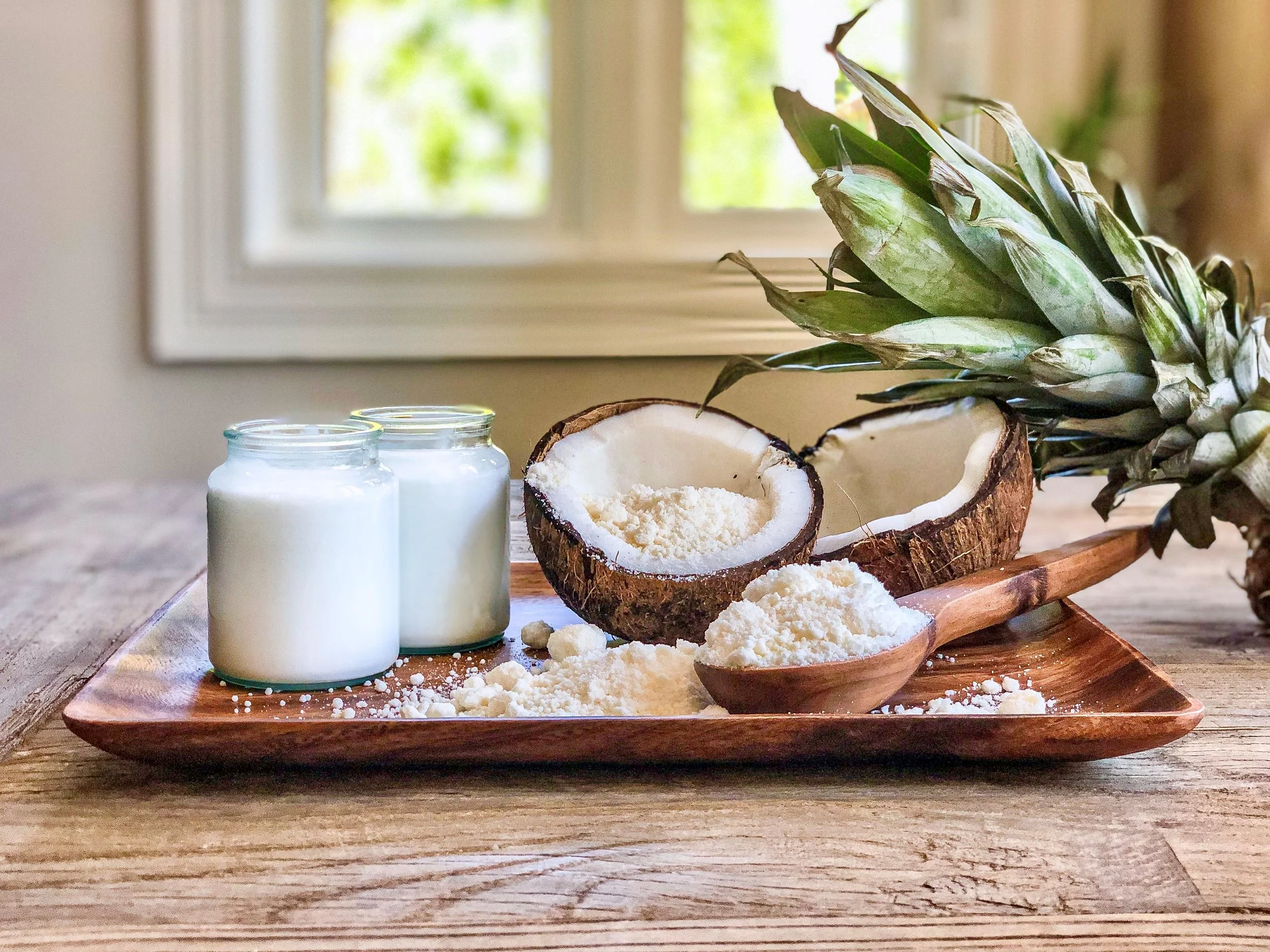 Coconut Milk Powder - Dairy-Free & Versatile | iTi Tropicals ...
