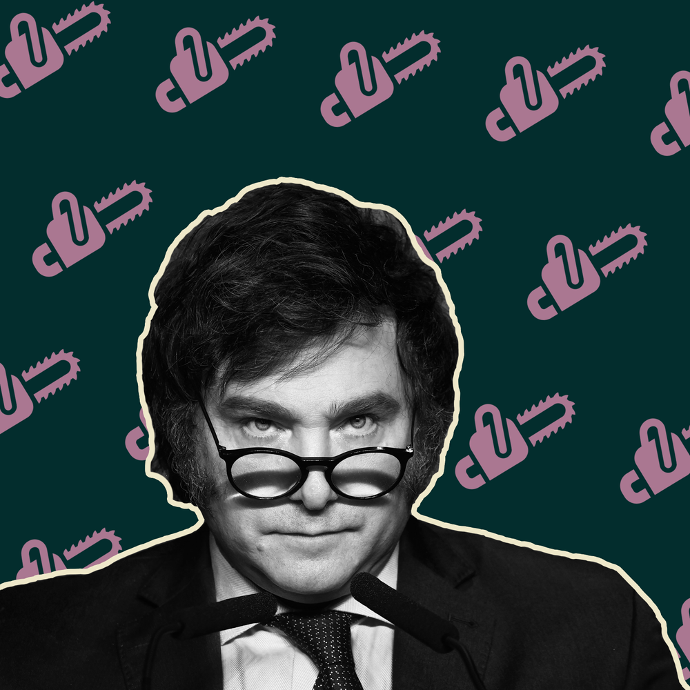 1 year of Javier Milei — Post factum