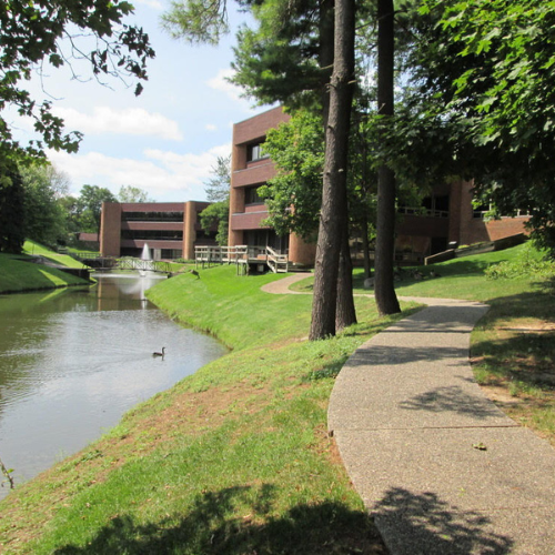 FairSky Foundation: Professional Therapy Services in Grand Rapids ...