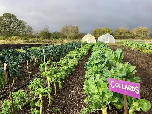 Participating Farms — Michigan Climate Smart Farm Project