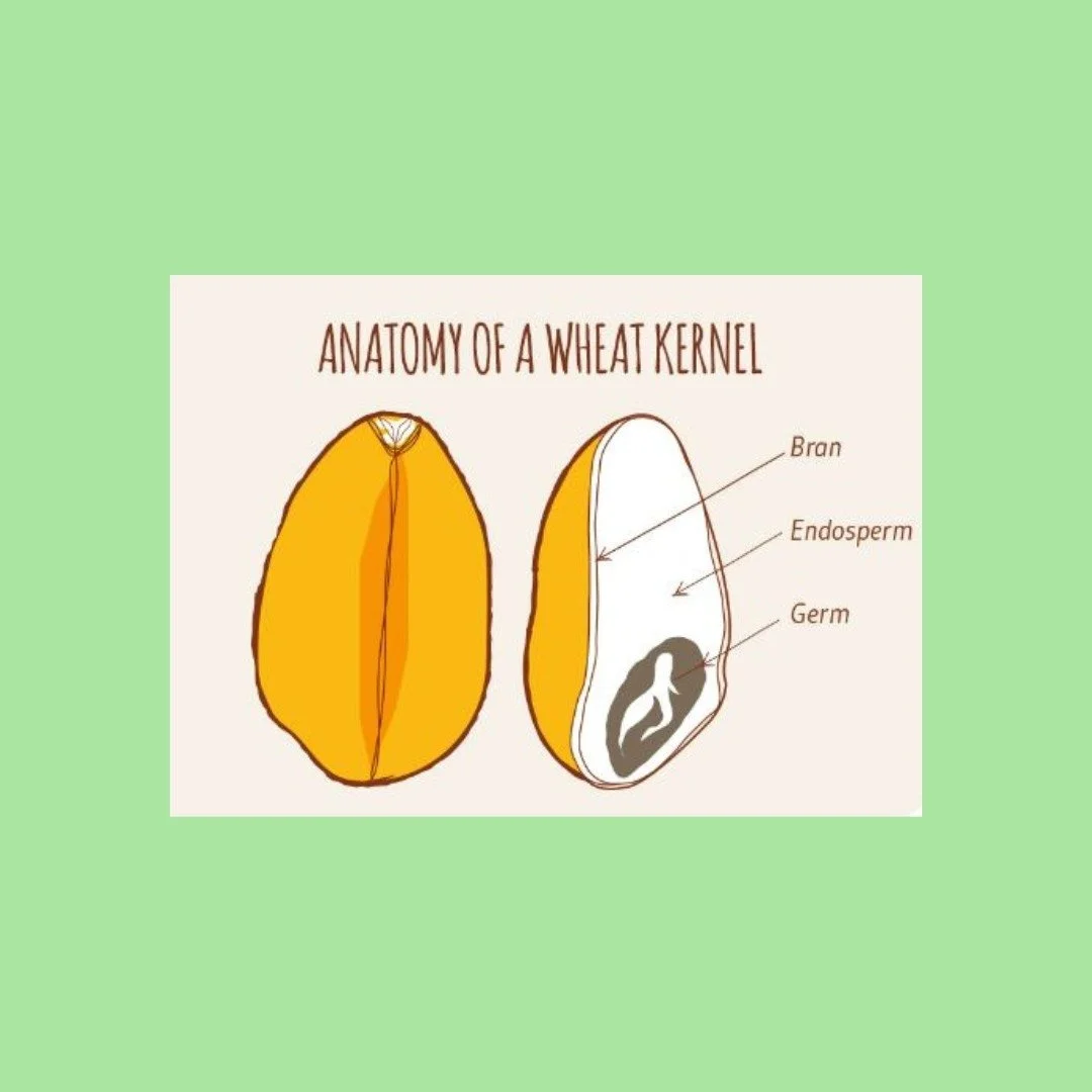 A Comprehensive Guide to New Zealand Made Flour — Humble Flour Co.