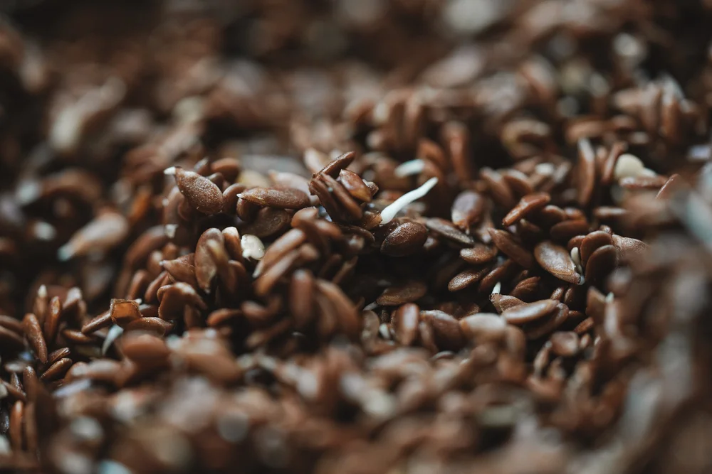 Mehle und Backwaren aus Keimkraft Keimlingen, Superfood, Basische und ...