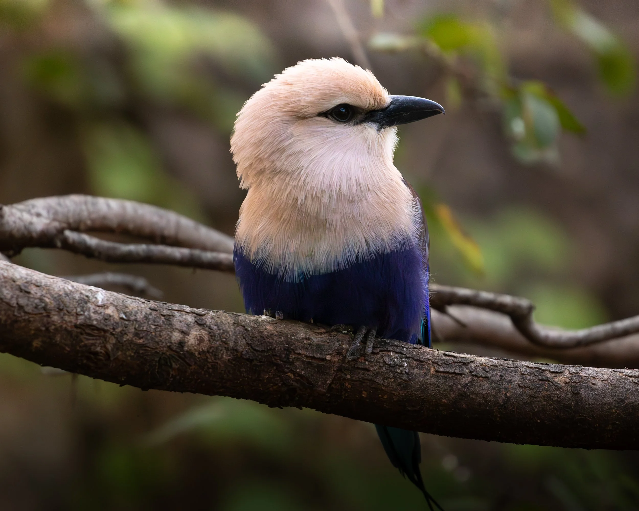 Donald Tanner Photography