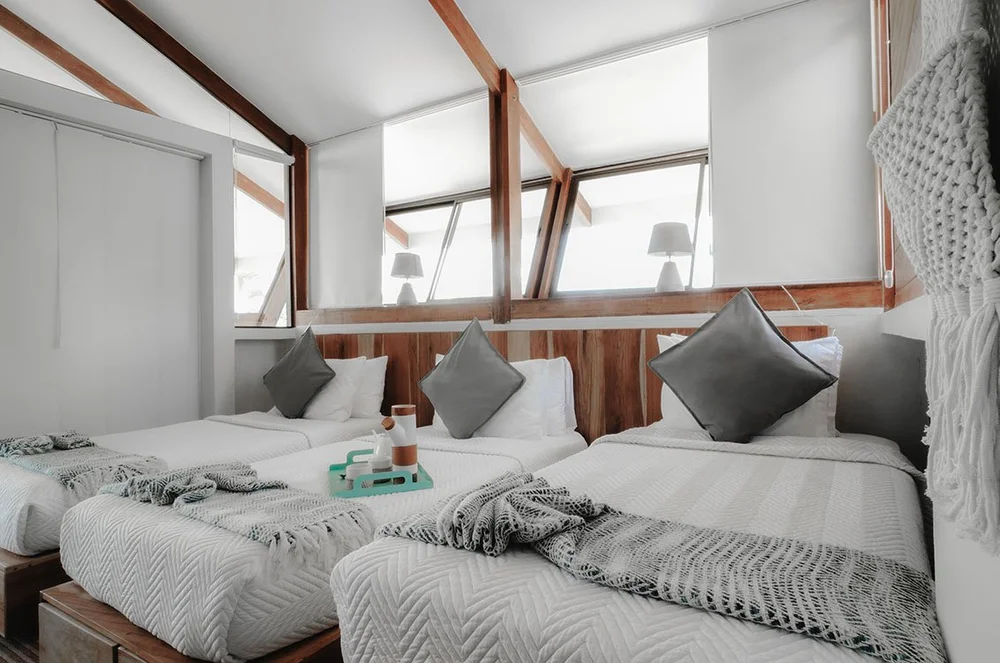 Discover Surf Synergy’s Rooms, Suites, and Tropical Spaces in Costa ...