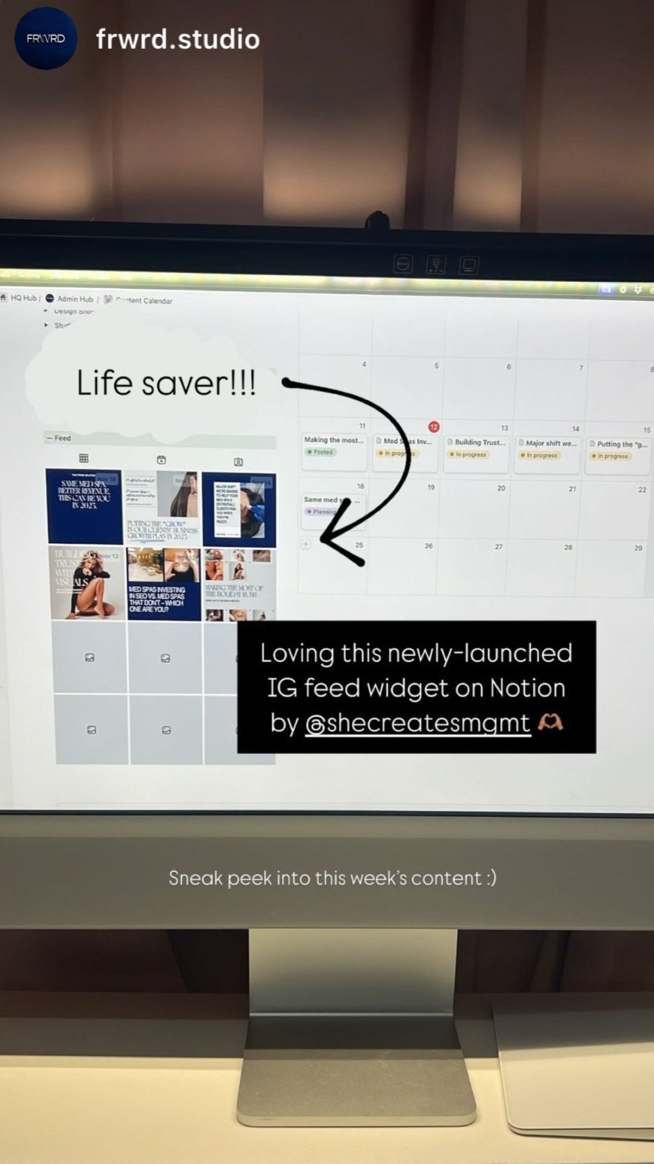 Instagram Grid Preview Widget in Notion — She Creates
