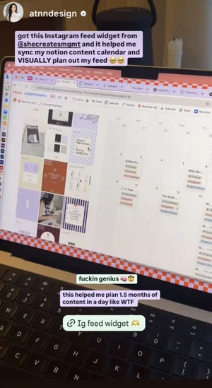 Instagram Grid Preview Widget in Notion — She Creates