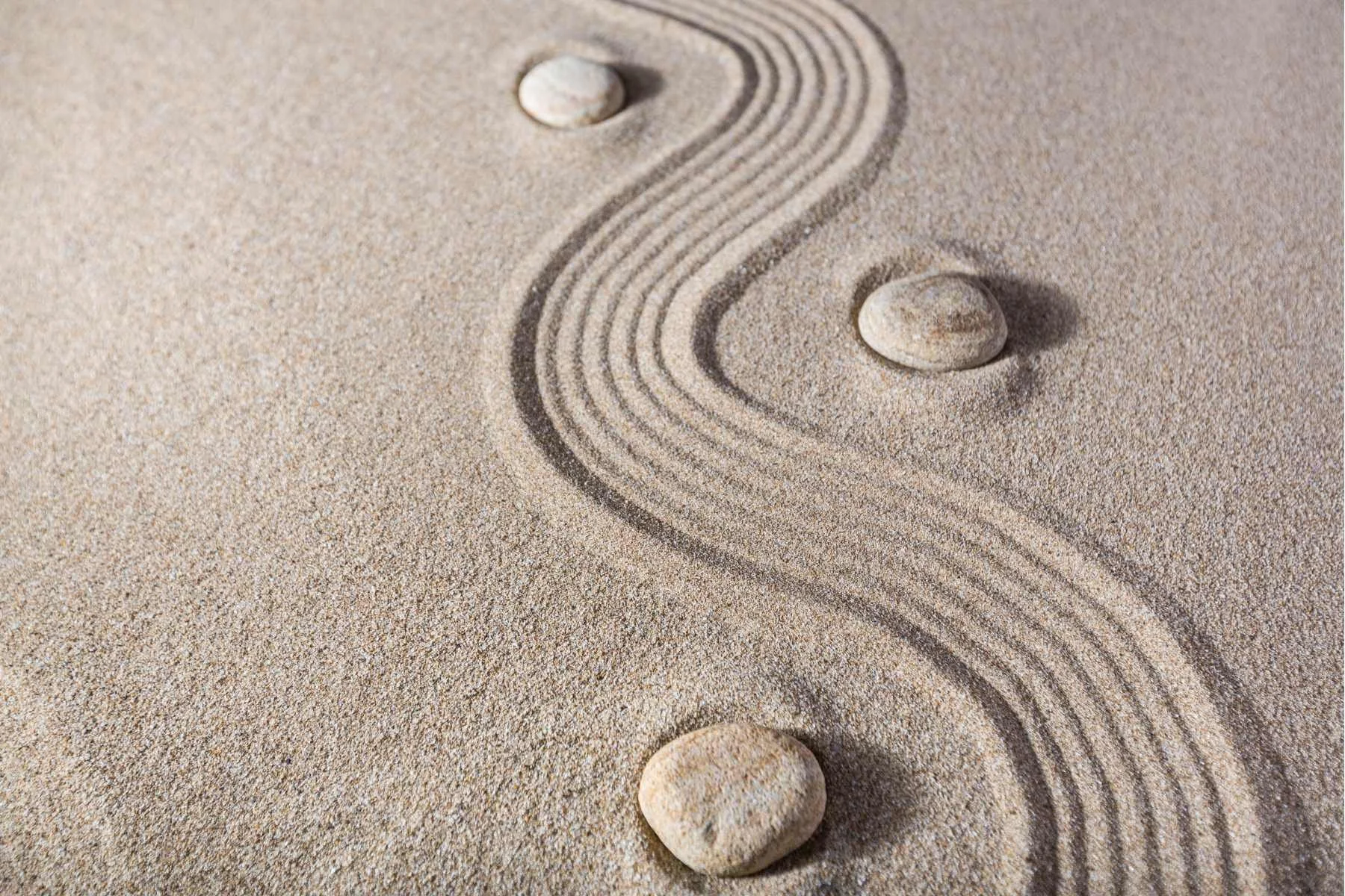 Benefits of a Colon Cleanse [Full Guide] — Fernz Wellness - Colon ...