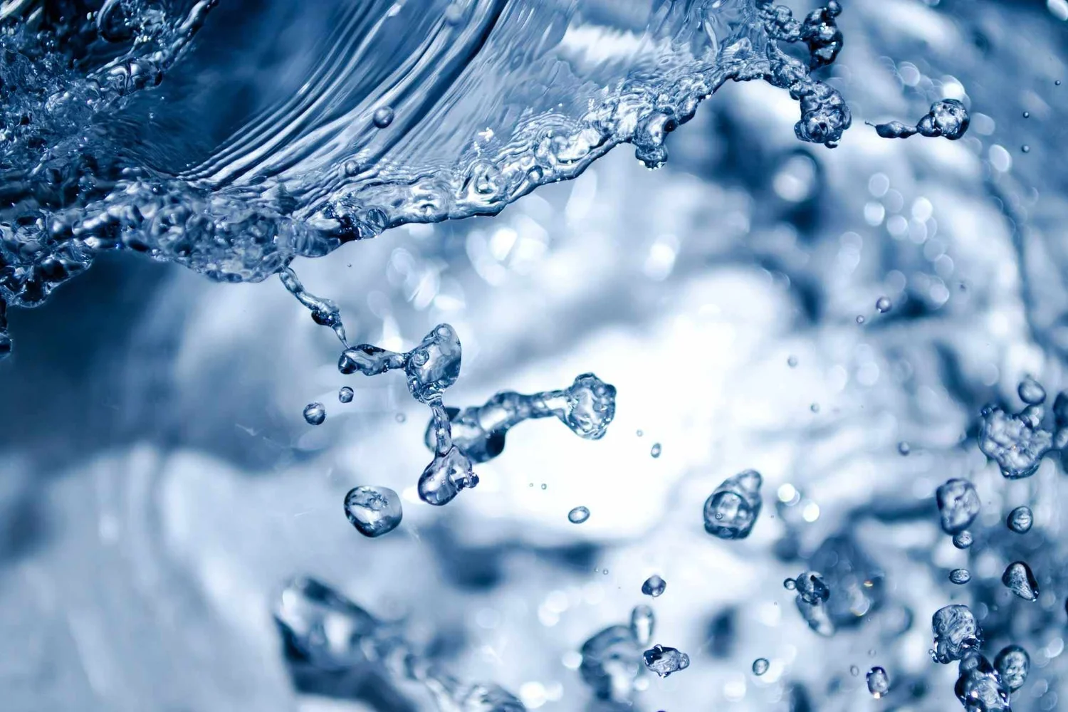 Exploring The LIBBE Open System - Colon Hydrotherapy — Fernz Wellness ...