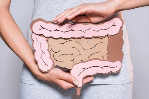 Exploring The LIBBE Open System - Colon Hydrotherapy — Fernz Wellness ...