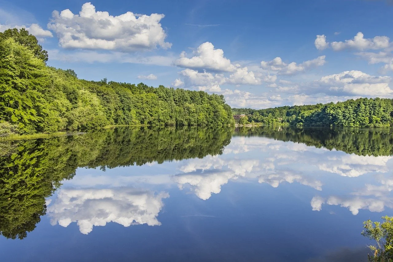 Massachusetts Timber Trespass Law — New England Tree Law