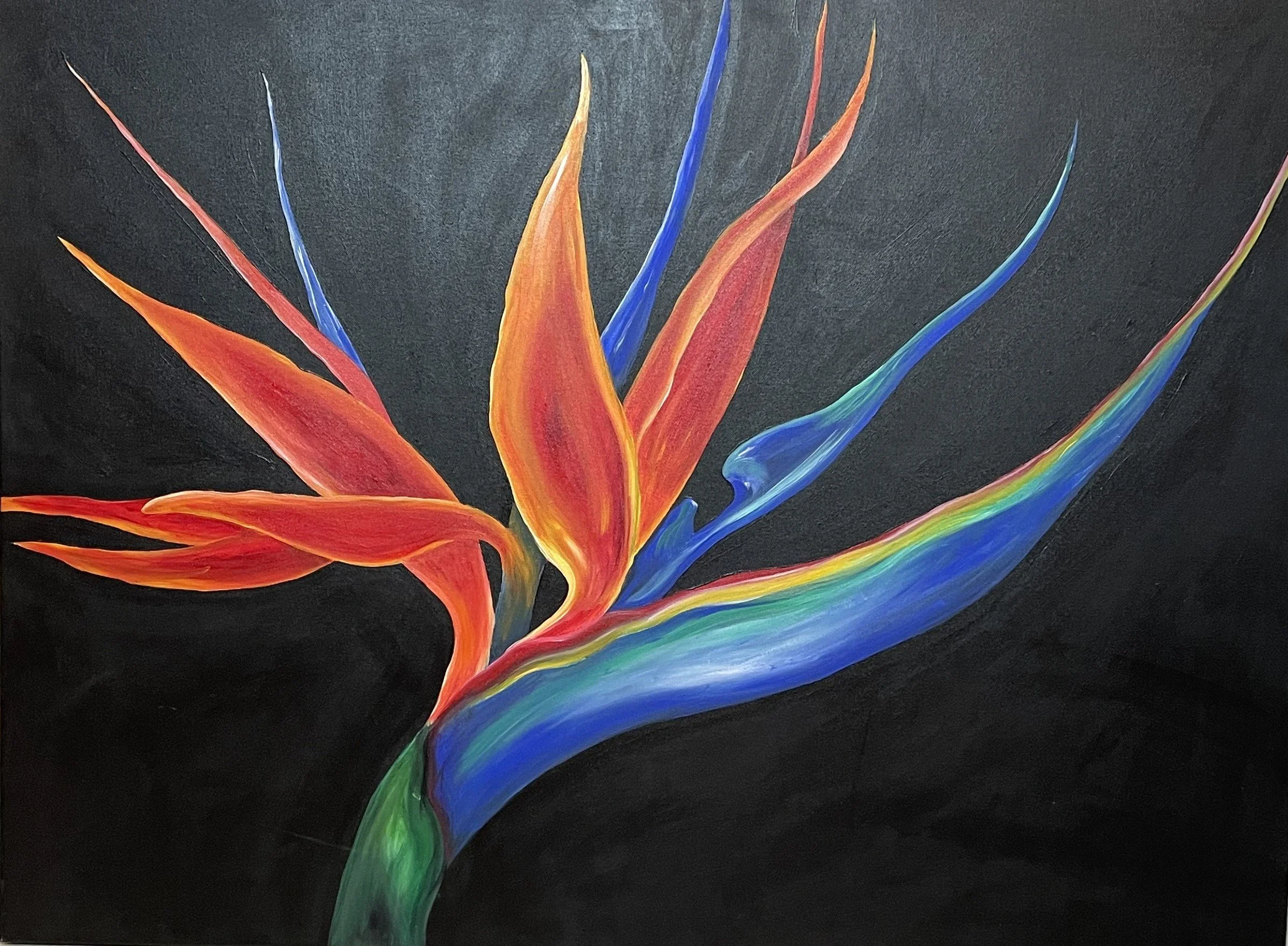 PORTFOLIO — Jo Mangieri Fine Art