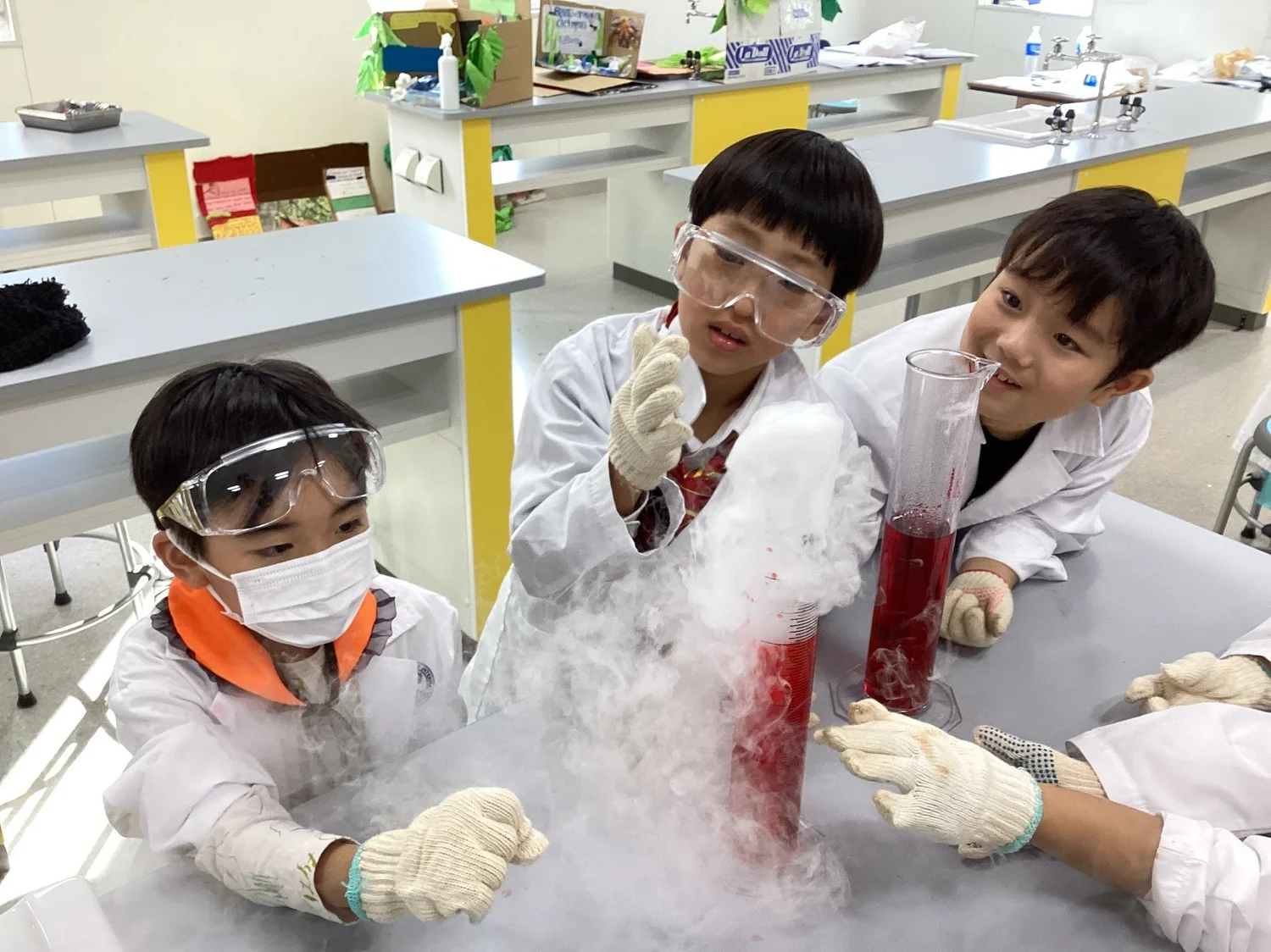 Saturday School — Laurus International School of Science in Tokyo
