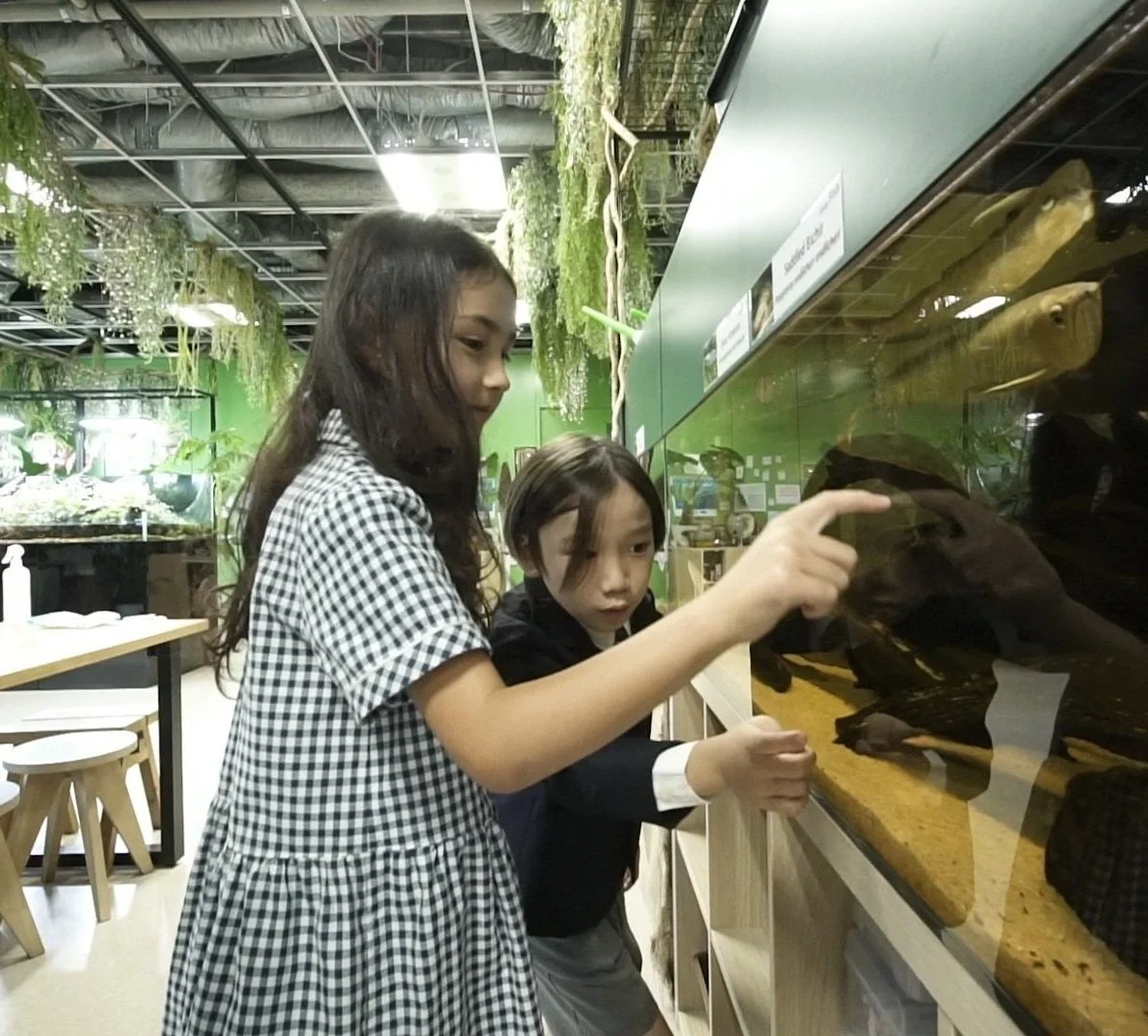 Tuition & Fees for Primary School — Laurus International School of ...