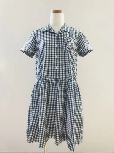 School Life - Primary & Secondary - Bus, Lunch, Uniform — Laurus ...