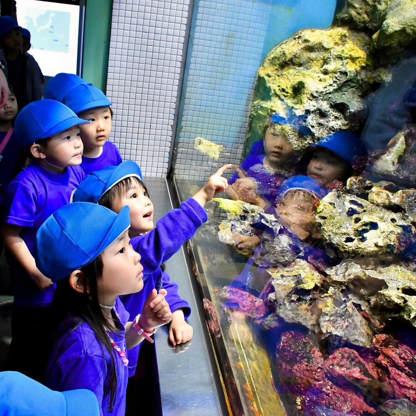 Learning - Preschool & Kindergarten — Laurus International School of ...