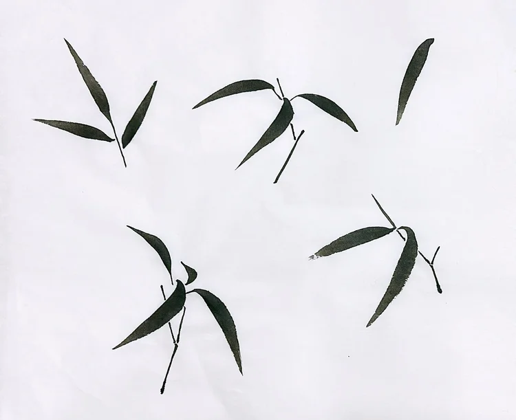 The Spirit of Bamboo: A Guide to Appreciating Chinese Ink Bamboo ...