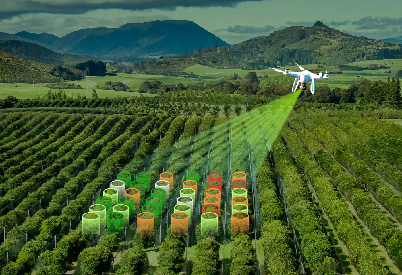 Advanced Agricultural Analytics | Pollen Systems