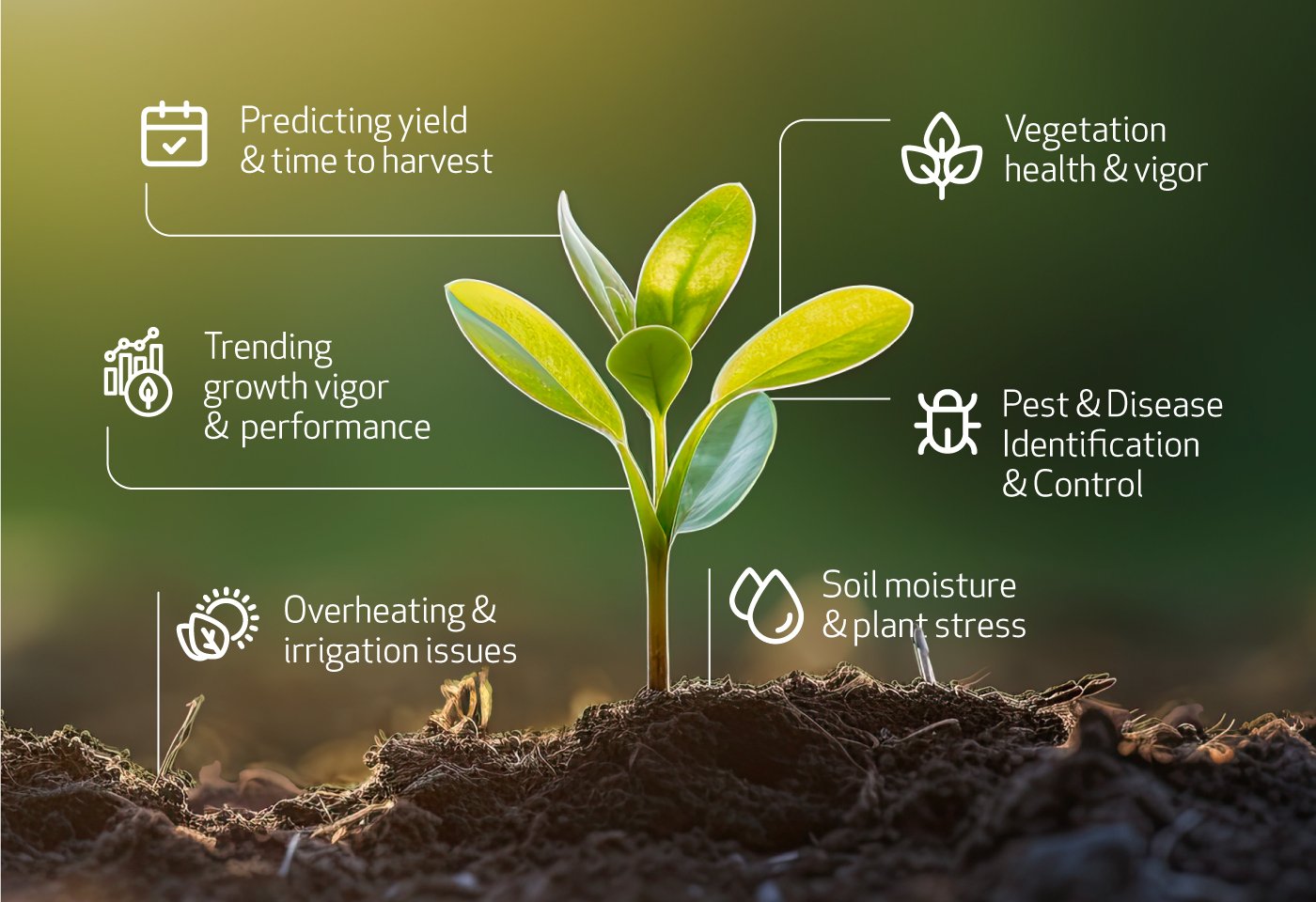 Advanced Agricultural Analytics | Pollen Systems