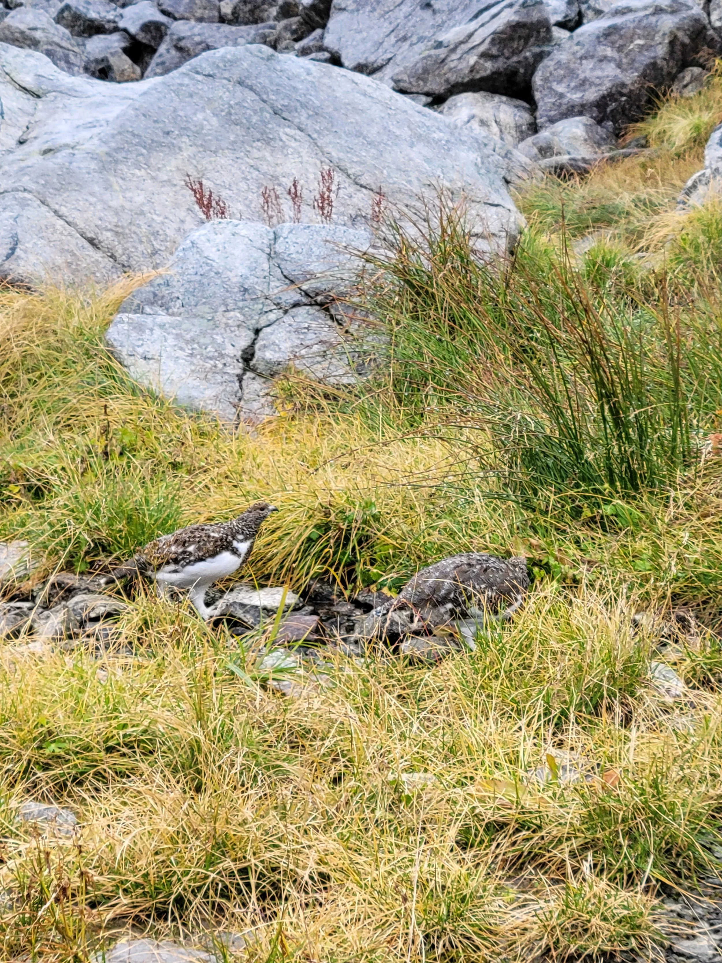 Pt. 2 Hiking the Northern Japanese Alps. My second Holy Mountain — Jeff ...