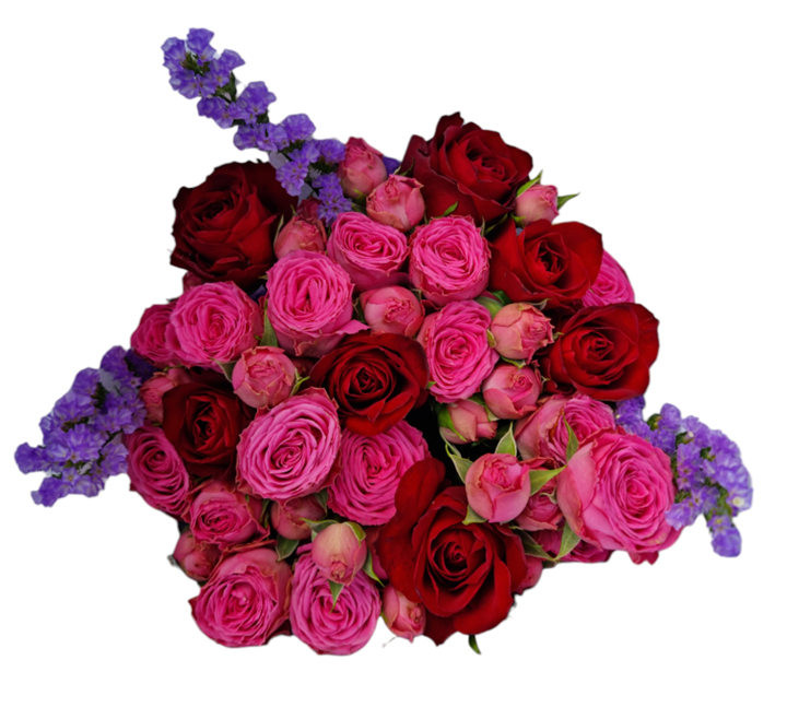 Enkasiti Bouquets — Enkasiti Flower Growers Ltd