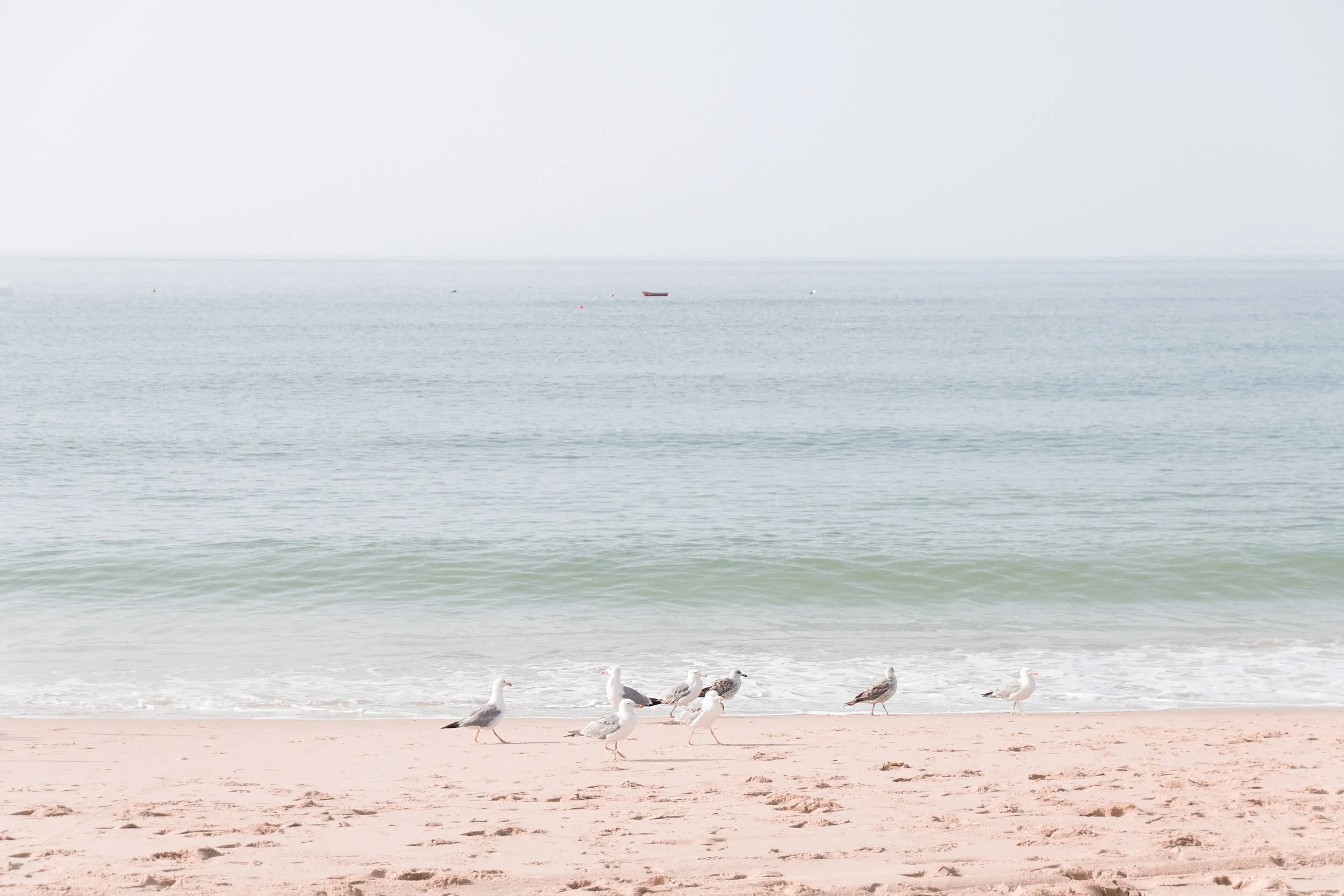 Renew Integrative Wellness — About 1