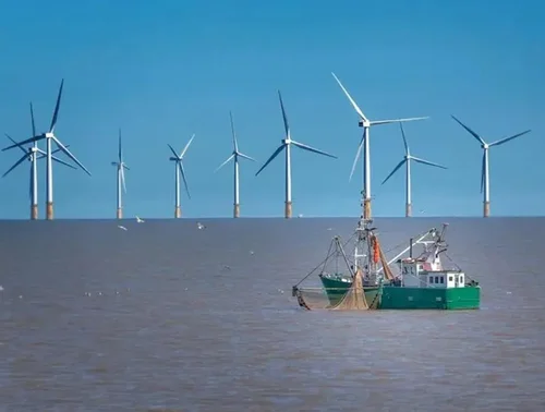 Offshore Wind, Fishing & Recreation — Green Oceans