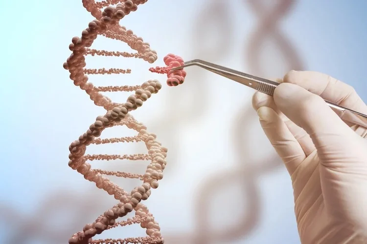 explore information on Potocki Lupski Syndrome — ptlshope