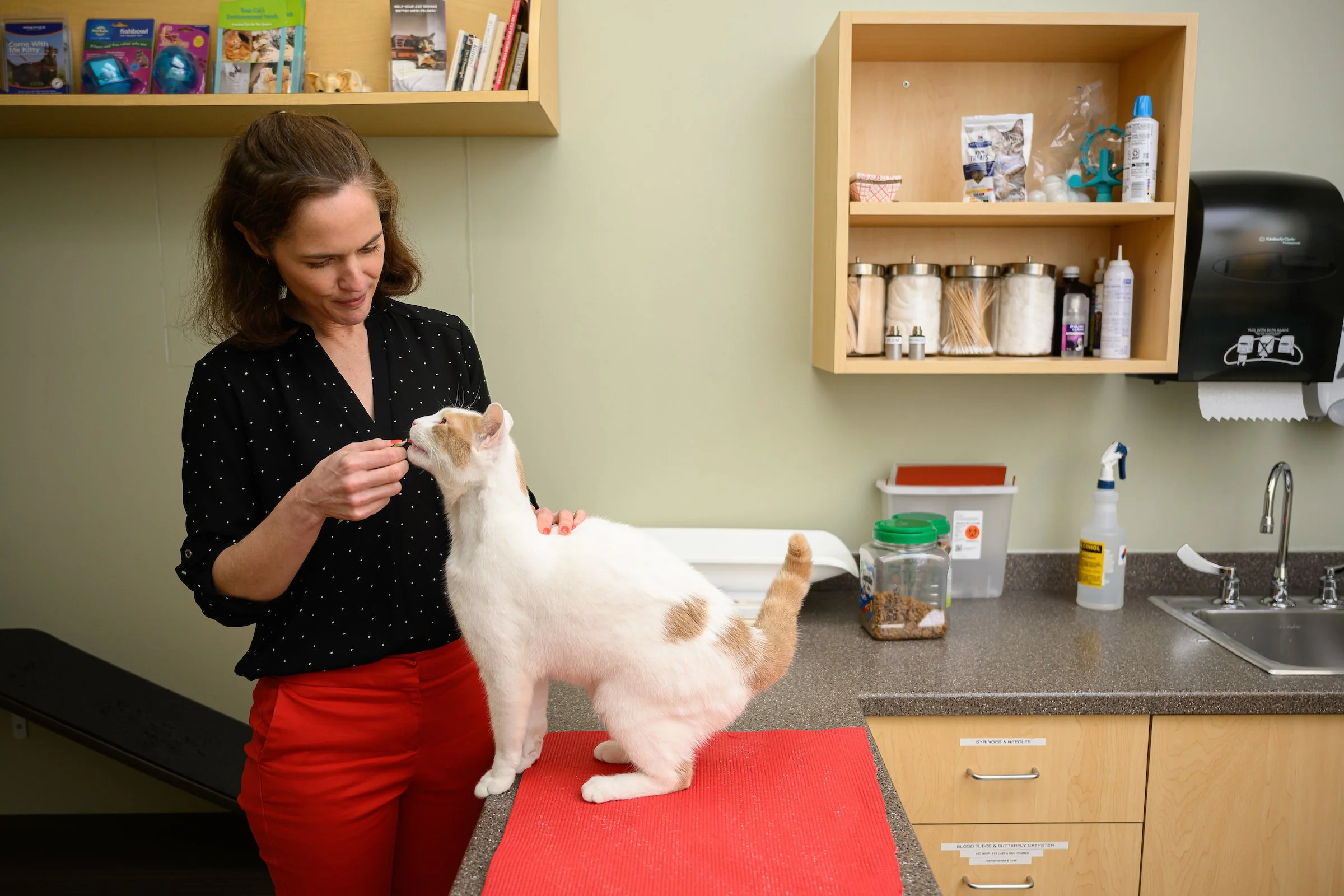 Health Breakthroughs for Every Cat