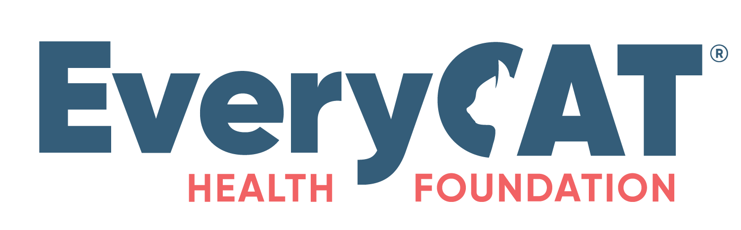 Health Breakthroughs for Every Cat