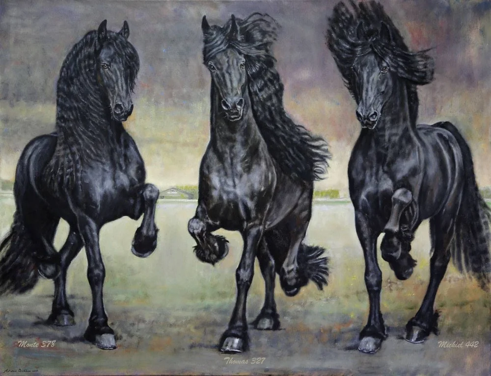 Stallion Selection - Friesians Breeding - Choosing the Right Stallion ...