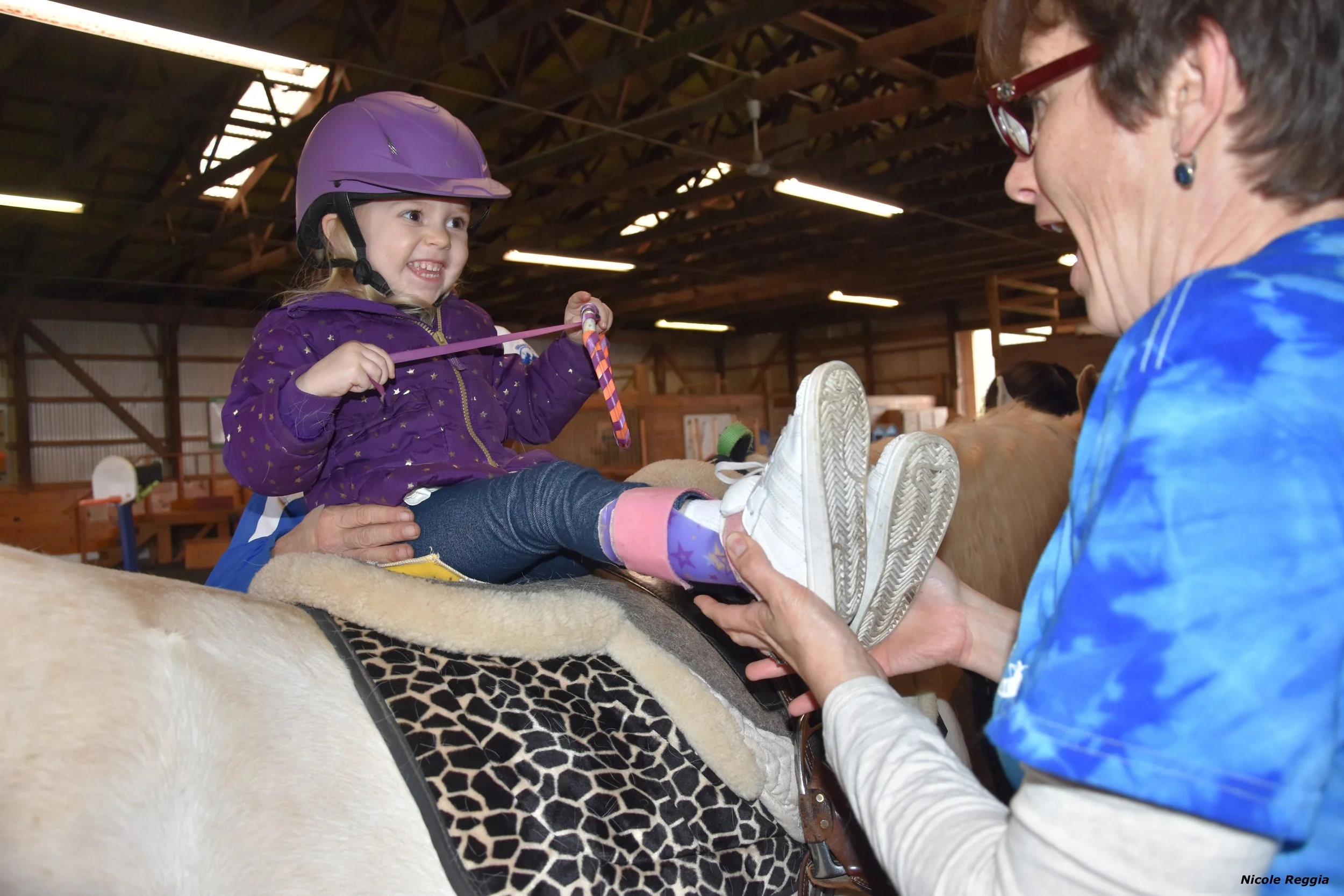 HIPPOTHERAPY — Sebastian Riding Associates