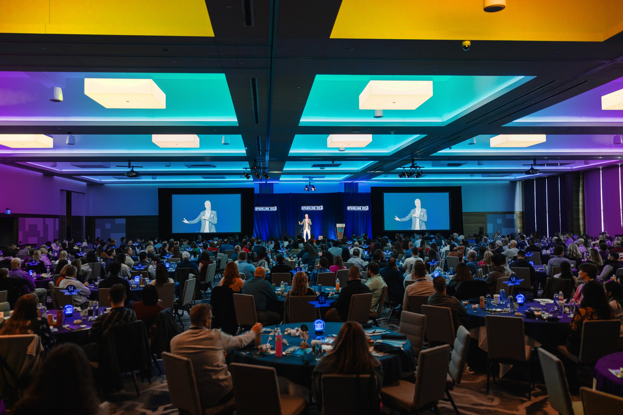 The Magnetic Presenter: Public Speaking Coaching Program