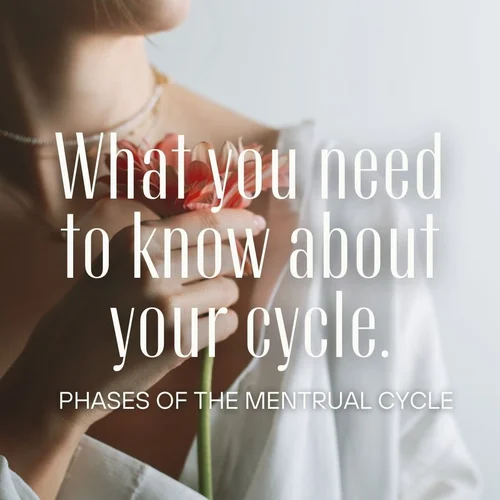 What you need to know about your cycle. — Nature Doctors