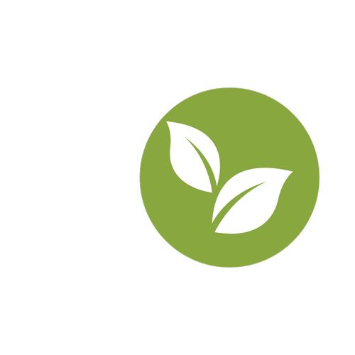 Dr. Hayley Warren, ND - NATUROPATHIC DOCTOR | Winnipeg — Nature Doctors