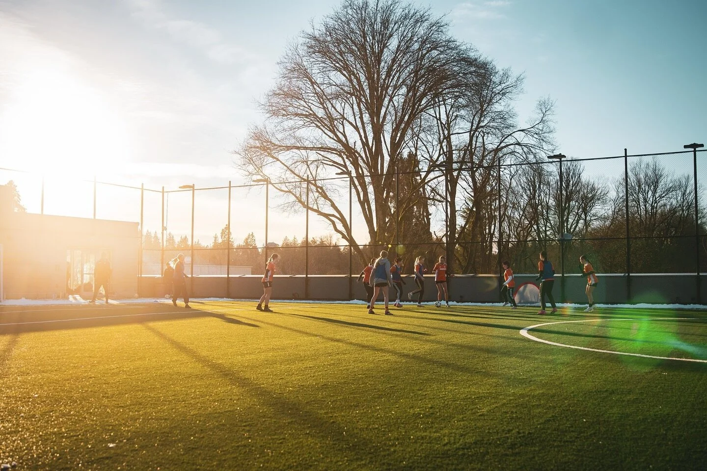 Volf Soccer Academy USA