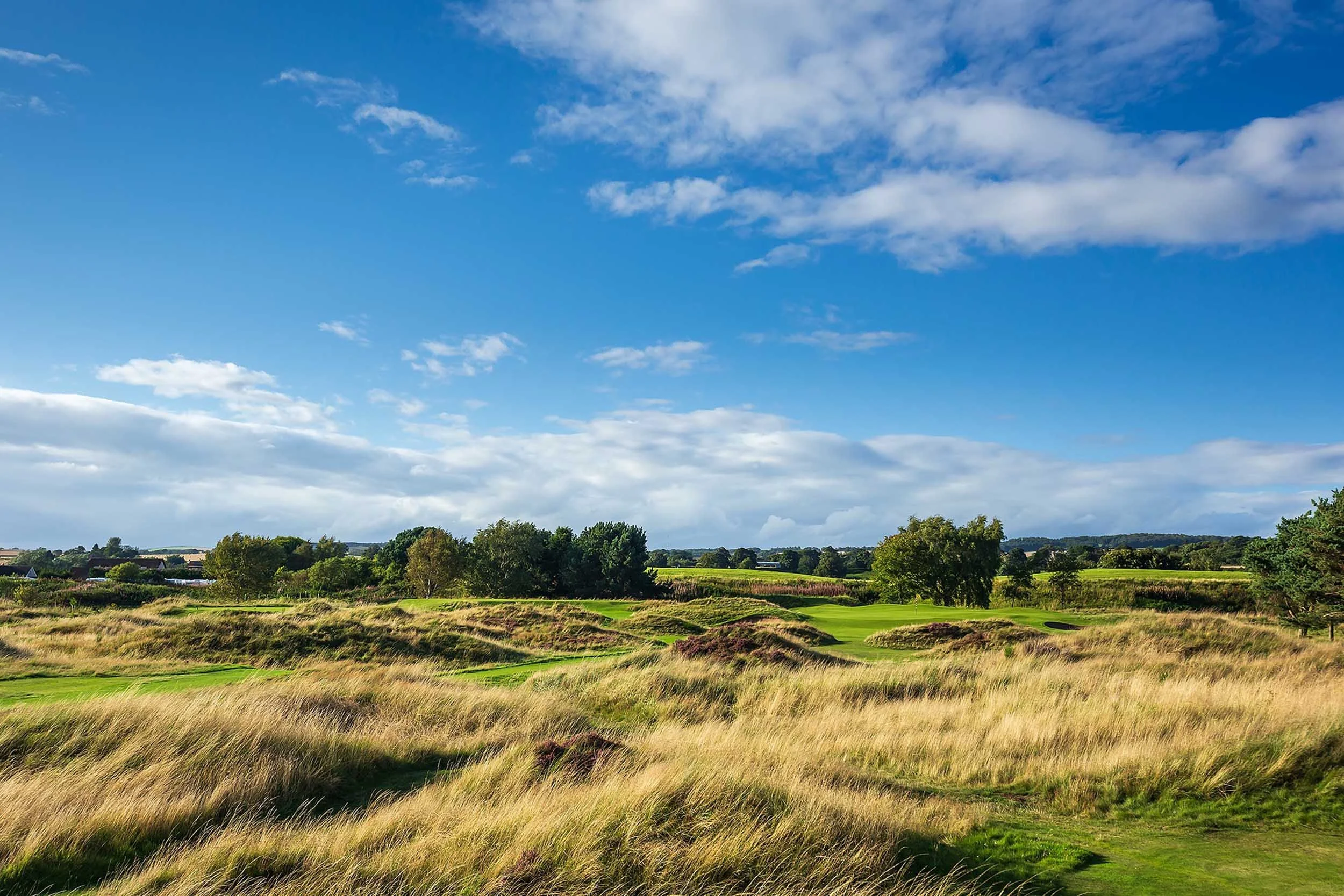 Panmure Golf Club - The Big Golf Company