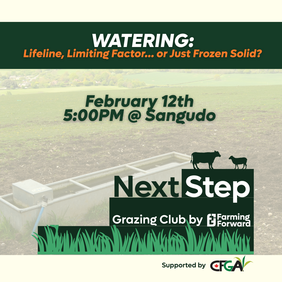 A Windy Night and a Strong Start: Grazing Club Kicks Off in Sangudo ...