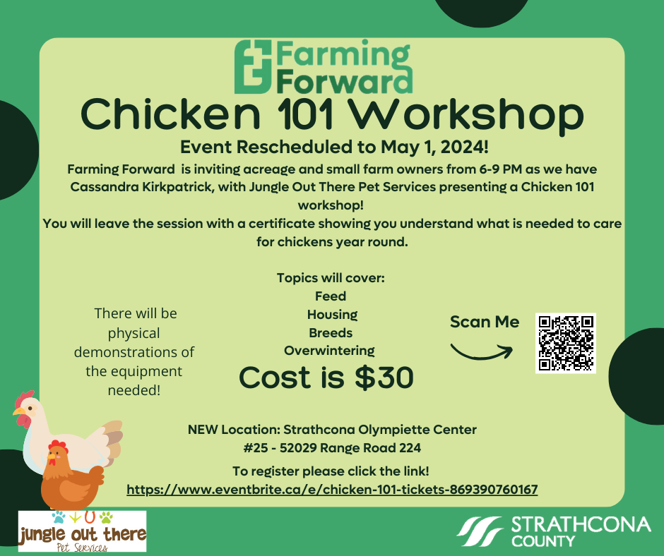 Chicken "101" — Farming Forward