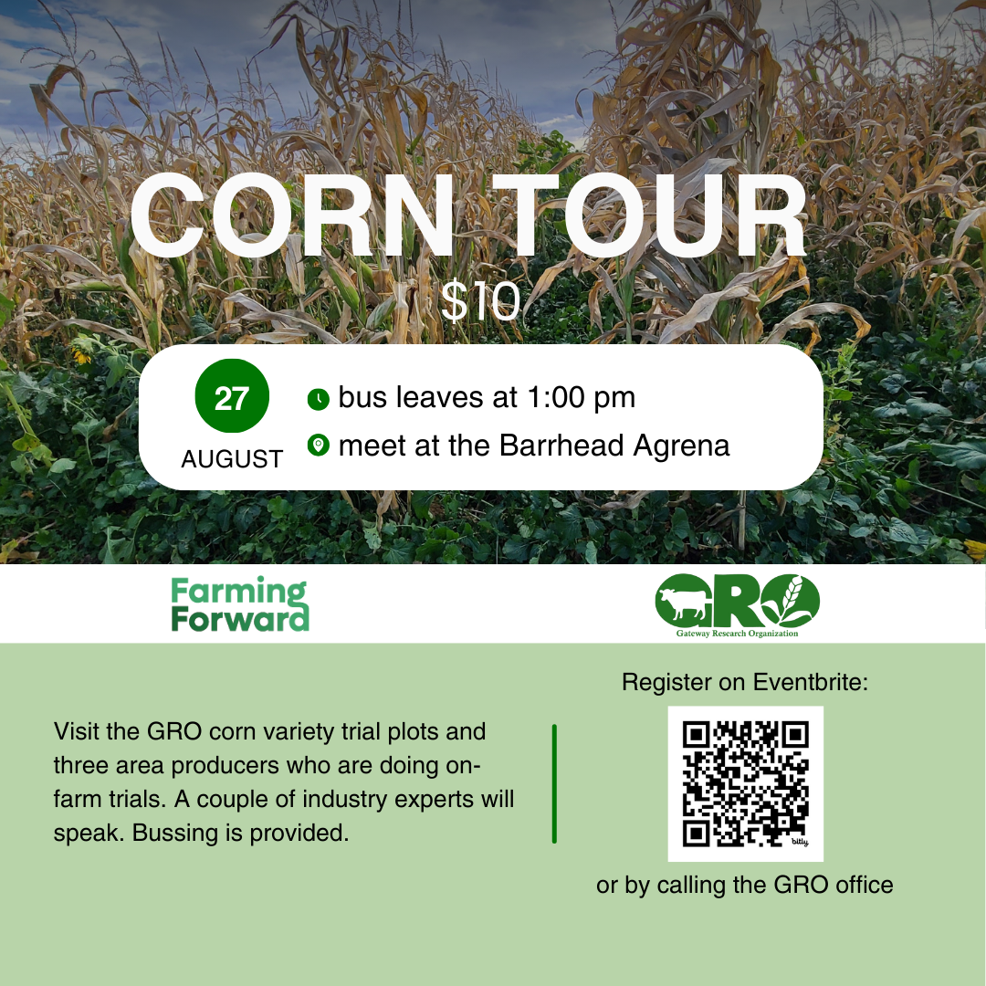 Corn Tour! - — Farming Forward