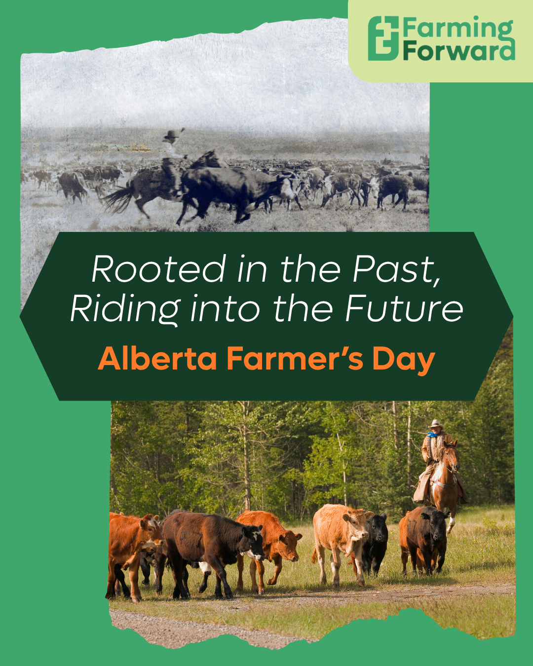 Alberta Farmer's Day — Farming Forward