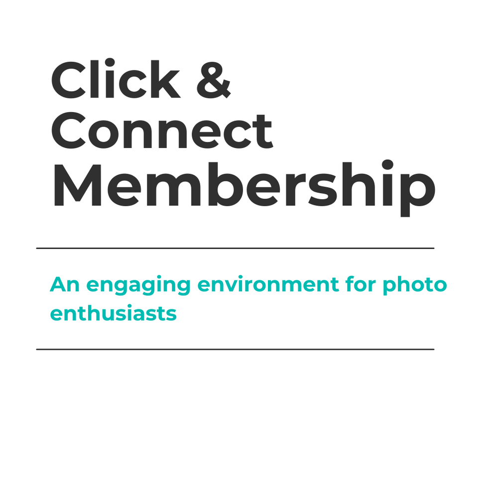 Art of Intuitive Photography — Online Photography Classes