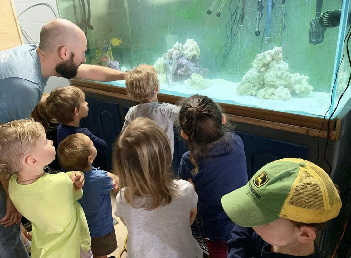 Topsail Touch Tank Aquarium