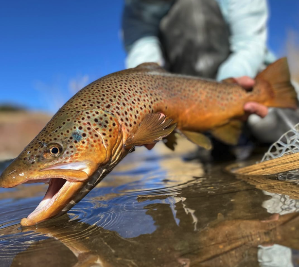 Top 10 Premier Summer Fly Fishing Destinations in the American West ...