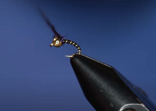 Unlocking Success: Fly Tying for Beginners Zebra Midge — Fly Life Media