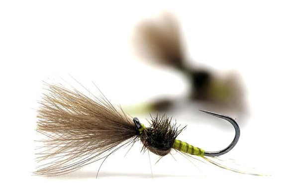 5 Tips for Tying Better CDC Flies — Fly Life Media