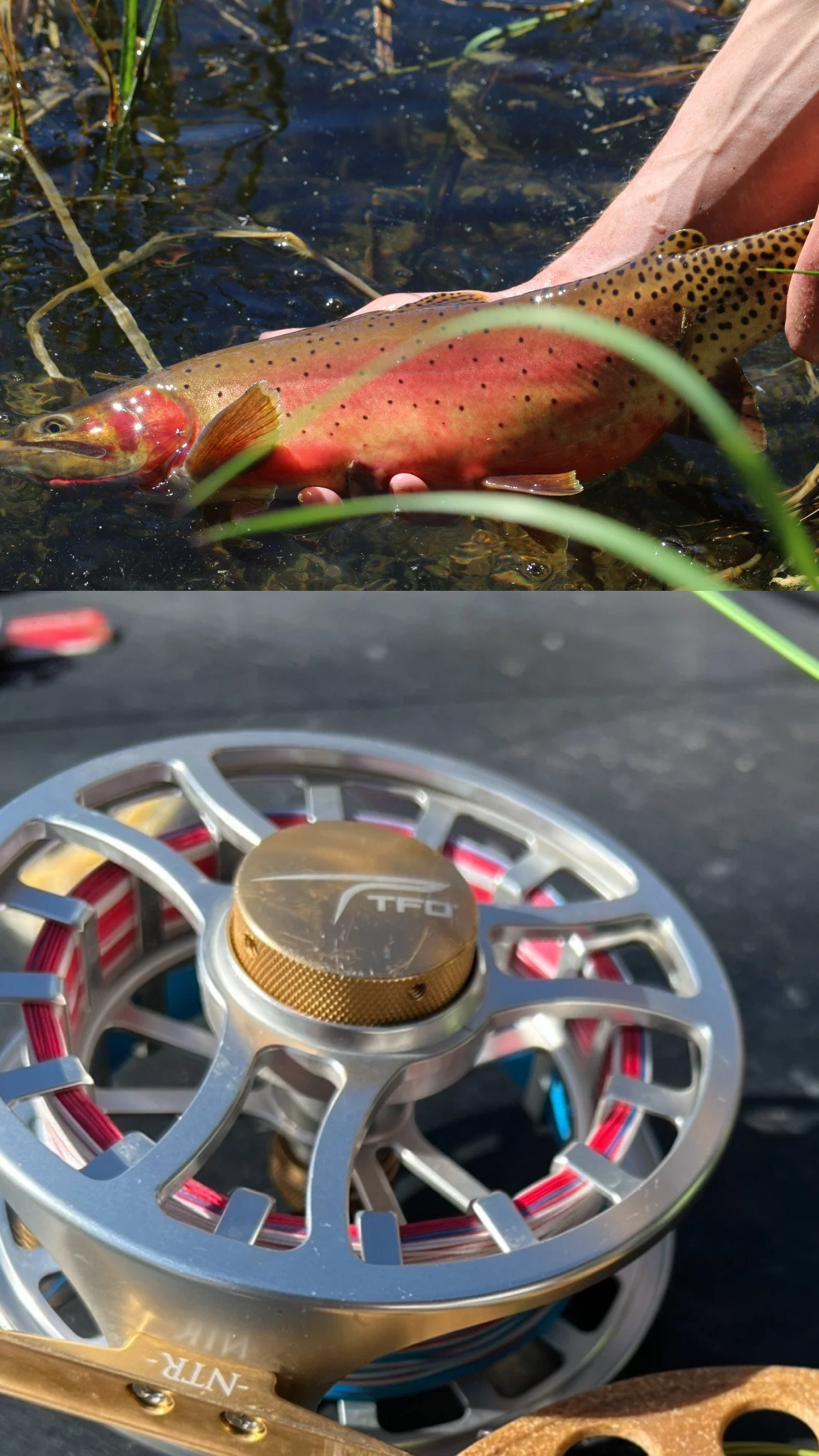 Fly Reel Setup: A Step-by-Step Guide — Fly Life Media