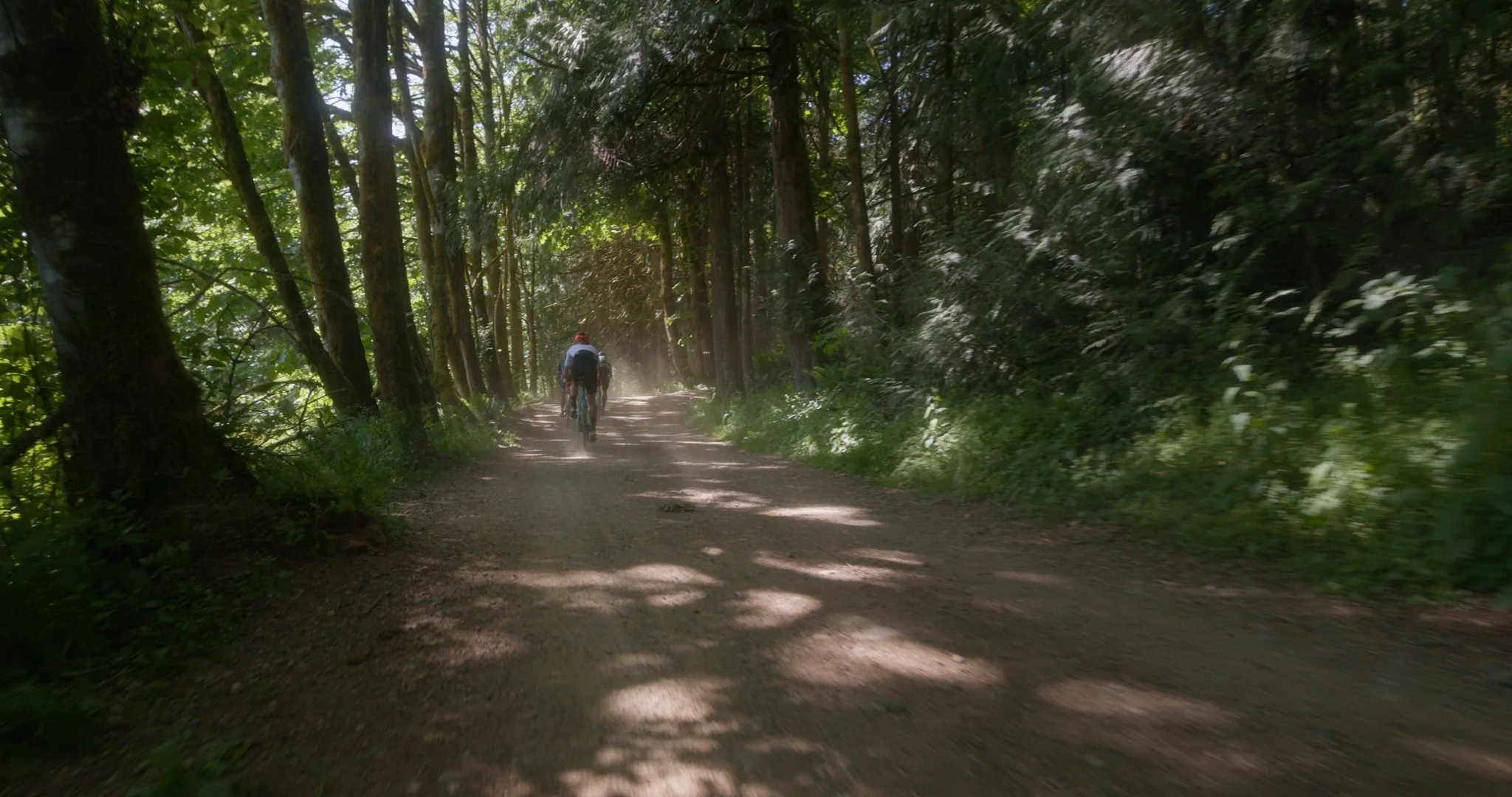 David Christenson | Cinematographer