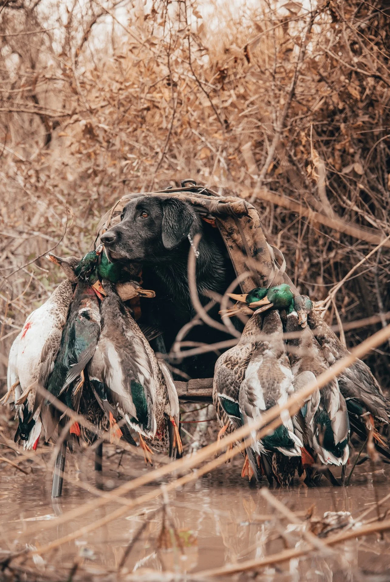 About — The Grove Hunting Club