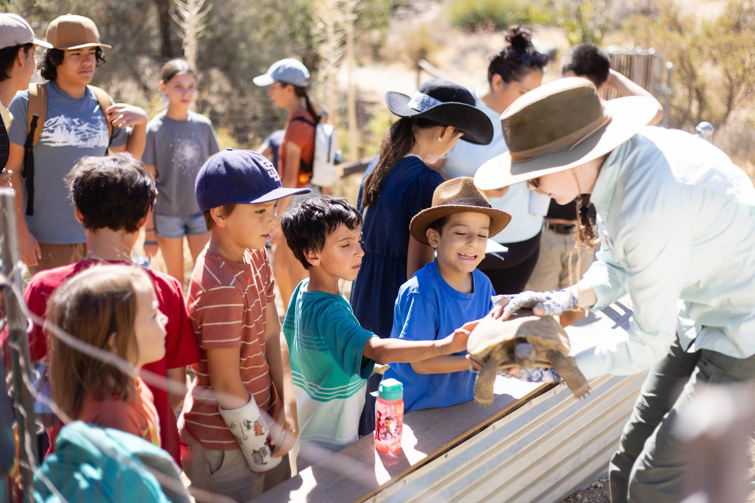 "Introduction to the Mojave Desert" - Become California Naturalist ...